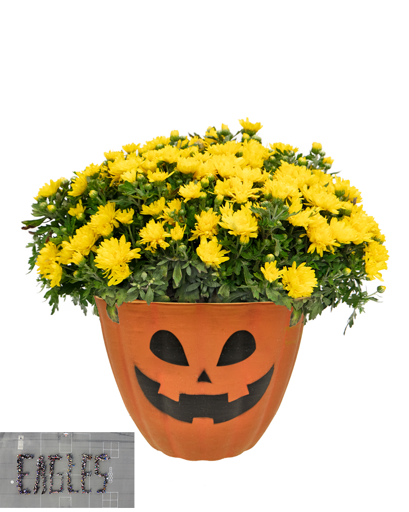 Michael Inskeep Elementary School